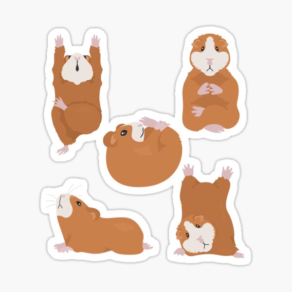 "peace sign and screaming hamster" Sticker for Sale by coinrose | Redbubble