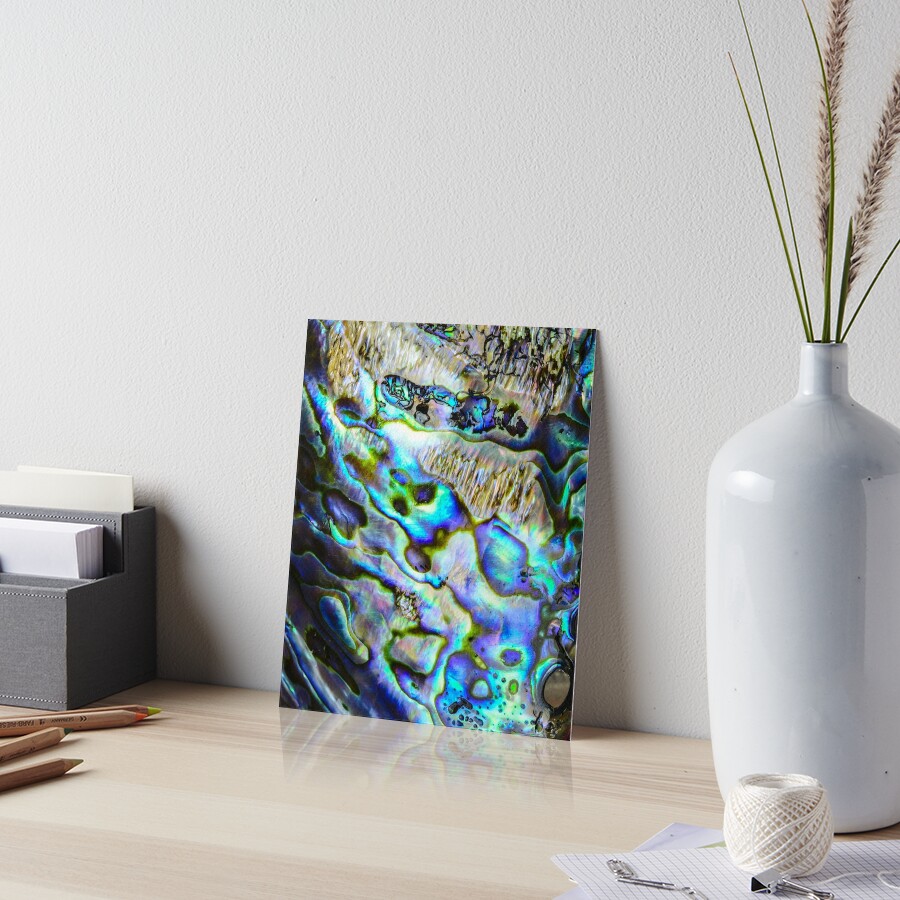 "Abstract Paua Abalone Shell Texture Pattern, Polished Paua Abalone ...