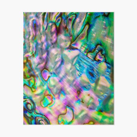 "Abstract Paua Abalone Shell Texture Pattern, Polished Paua Abalone ...