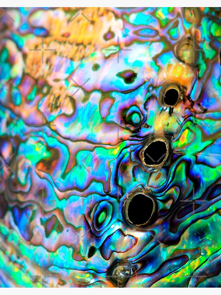 "Abstract Paua Abalone Shell Texture Pattern, Polished Paua Abalone ...