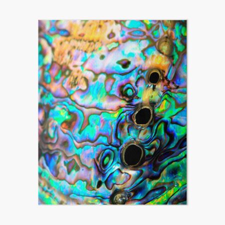 "Abstract Paua Abalone Shell Texture Pattern, Polished Paua Abalone ...