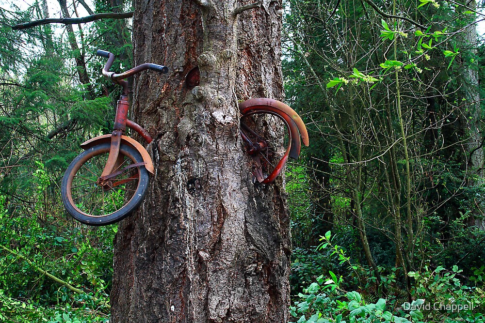 "The Bike-Eating Tree" by David Chappell | Redbubble