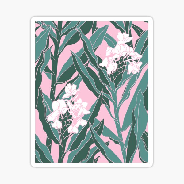 "White Mountain Ginger" Sticker for Sale by maliuana50 | Redbubble
