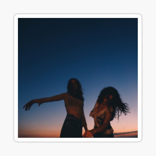 "flight risk - tommy lefroy" Sticker for Sale by Rosellar | Redbubble