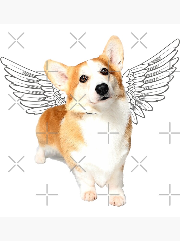 "Pembroke Welsh Corgi With Angel Wings" Poster for Sale by KandMe ...