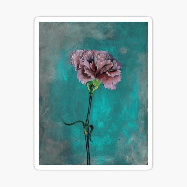 "Carnation" Sticker for Sale by Loulure | Redbubble