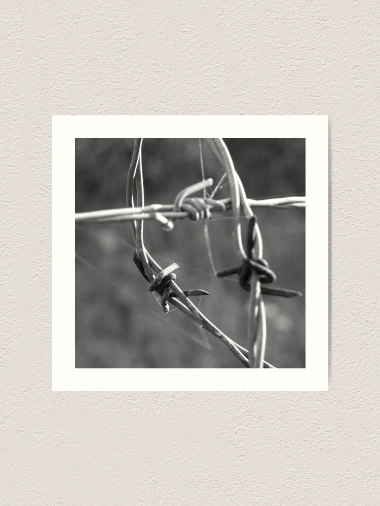 "Barbed Wire, Twists and Turns And Snags You" Art Print for Sale by ...