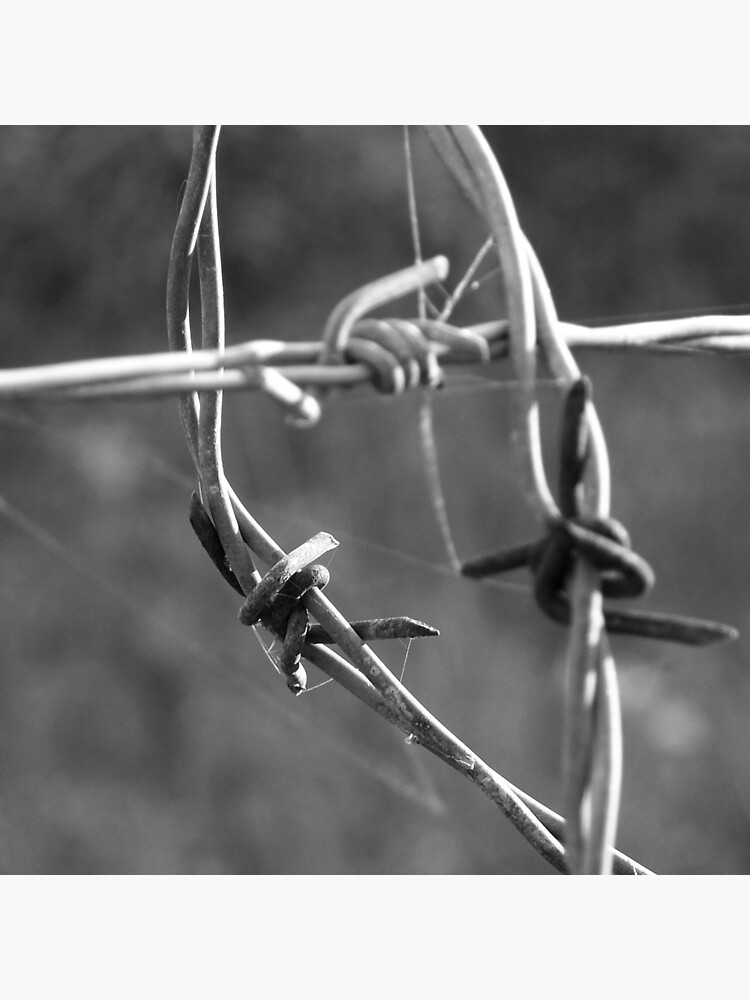 "Barbed Wire, Twists and Turns And Snags You" Art Print for Sale by ...