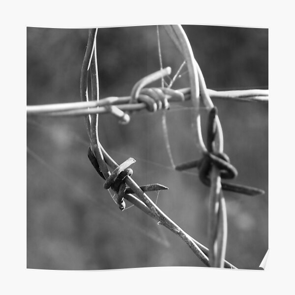 "Barbed Wire, Twists and Turns And Snags You" Poster for Sale by ...