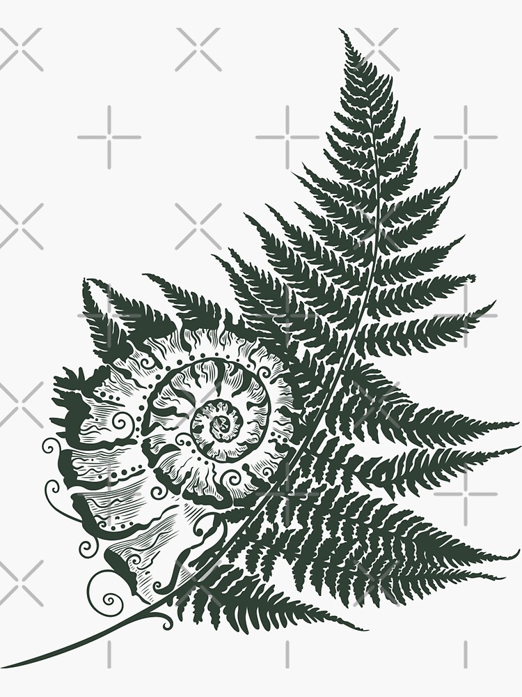 "Fern Snail Shell Fern Leaf Autumn" Sticker for Sale by ChristineKrahl ...
