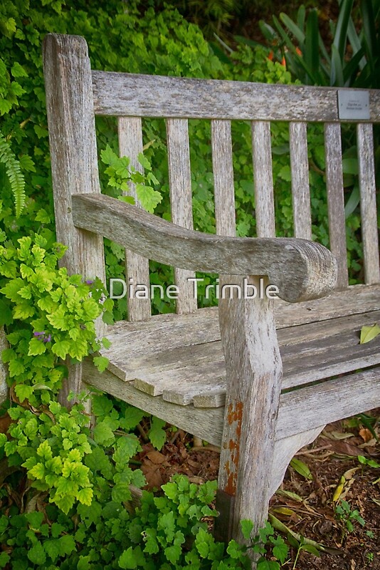 "The Garden Bench" by Diane Trimble | Redbubble