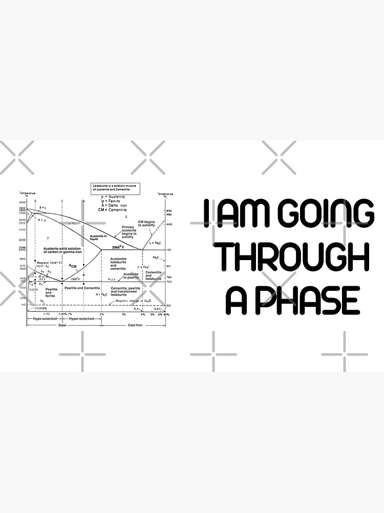 "I AM GOING THROUGH A PHASE, Iron Carbon Phase Diagram Gift" Coffee Mug ...