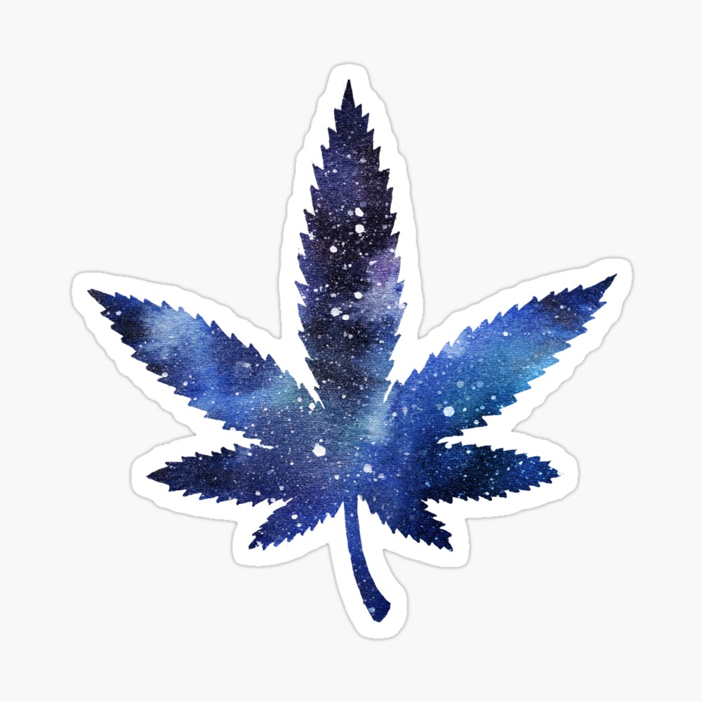 Blue Weed Leaf Amsterdam Genetics » Cannabis Leaves