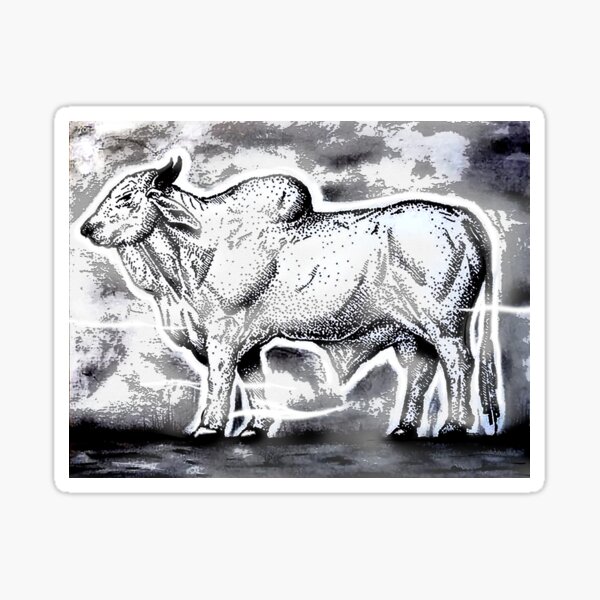 "Baby Brahma Drama - Stippling" Sticker for Sale by MenchacaART | Redbubble
