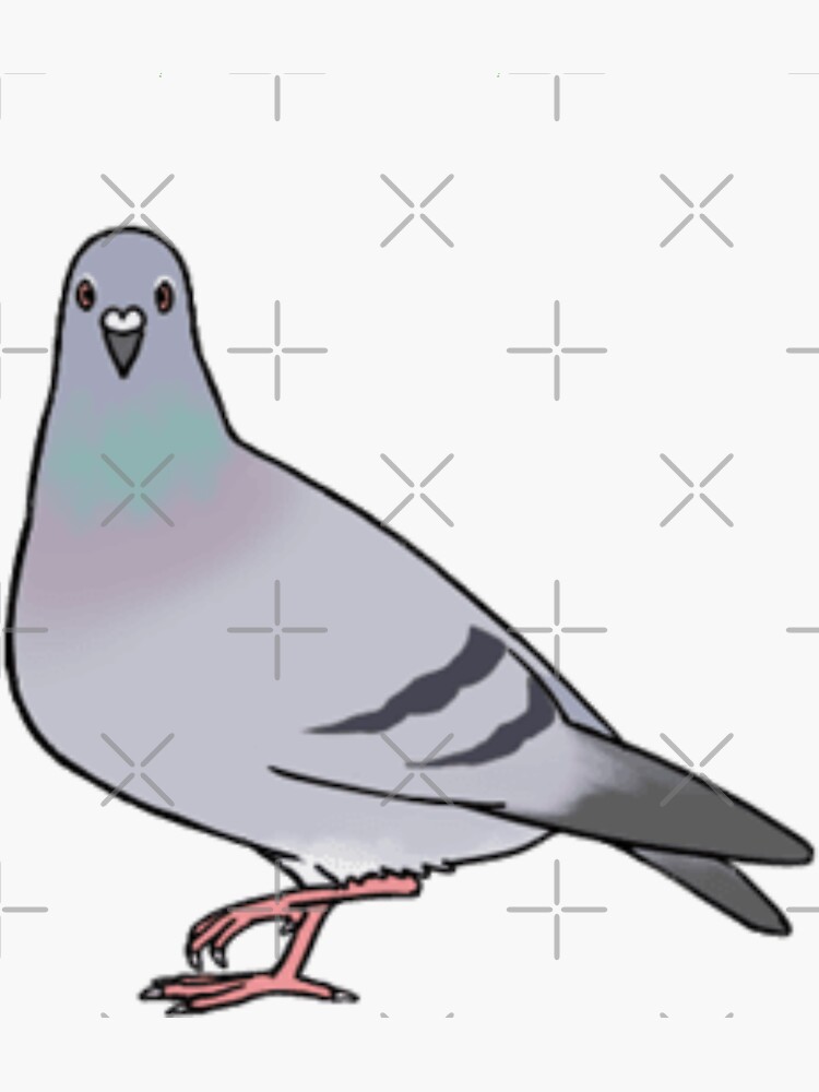 "Glowing Eyes Pigeon Doodle" Sticker for Sale by Stevenobinsun | Redbubble