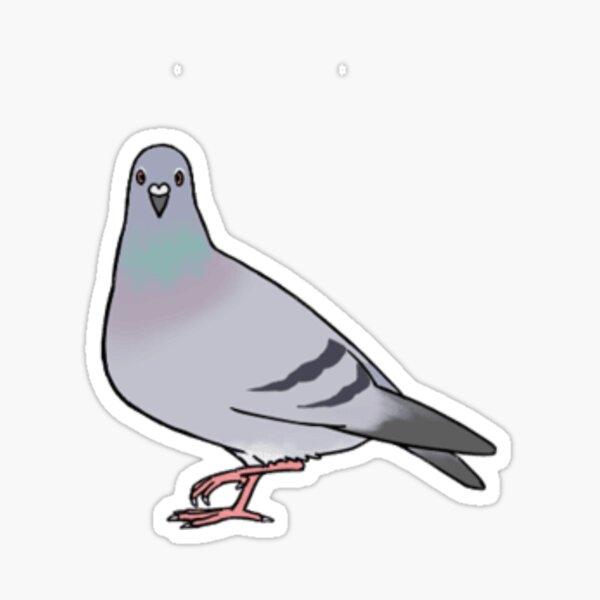 "Glowing Eyes Pigeon Doodle" Sticker for Sale by Stevenobinsun | Redbubble