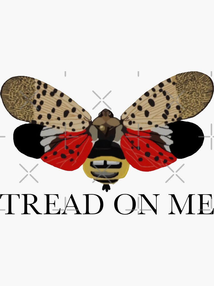 "spotted lantern flies" Sticker for Sale by joeistan | Redbubble
