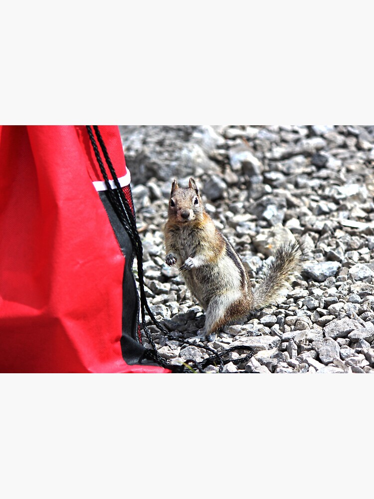 "Caught in the Act" Sticker for Sale by ambaron | Redbubble