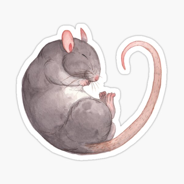 "Sleepy Rat" Sticker for Sale by Heli-bee | Redbubble