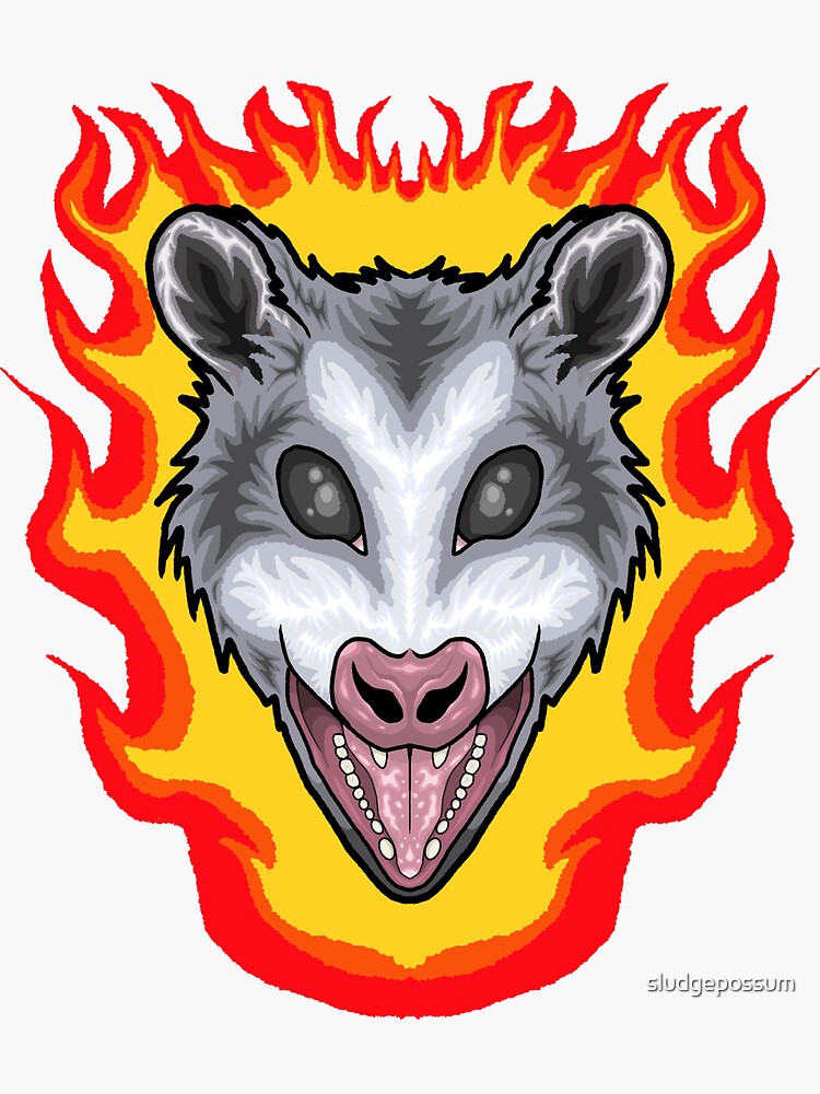 "fire possum" Sticker for Sale by sludgepossum | Redbubble