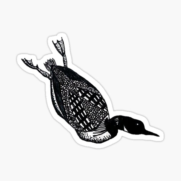 "Common loon Classic" Sticker for Sale by StephenBeth | Redbubble