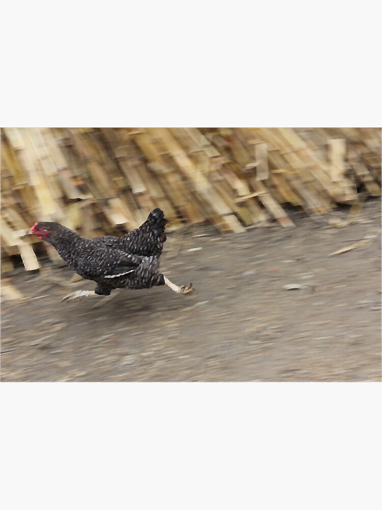 "gtg chicken" Sticker for Sale by DiceRollTee | Redbubble