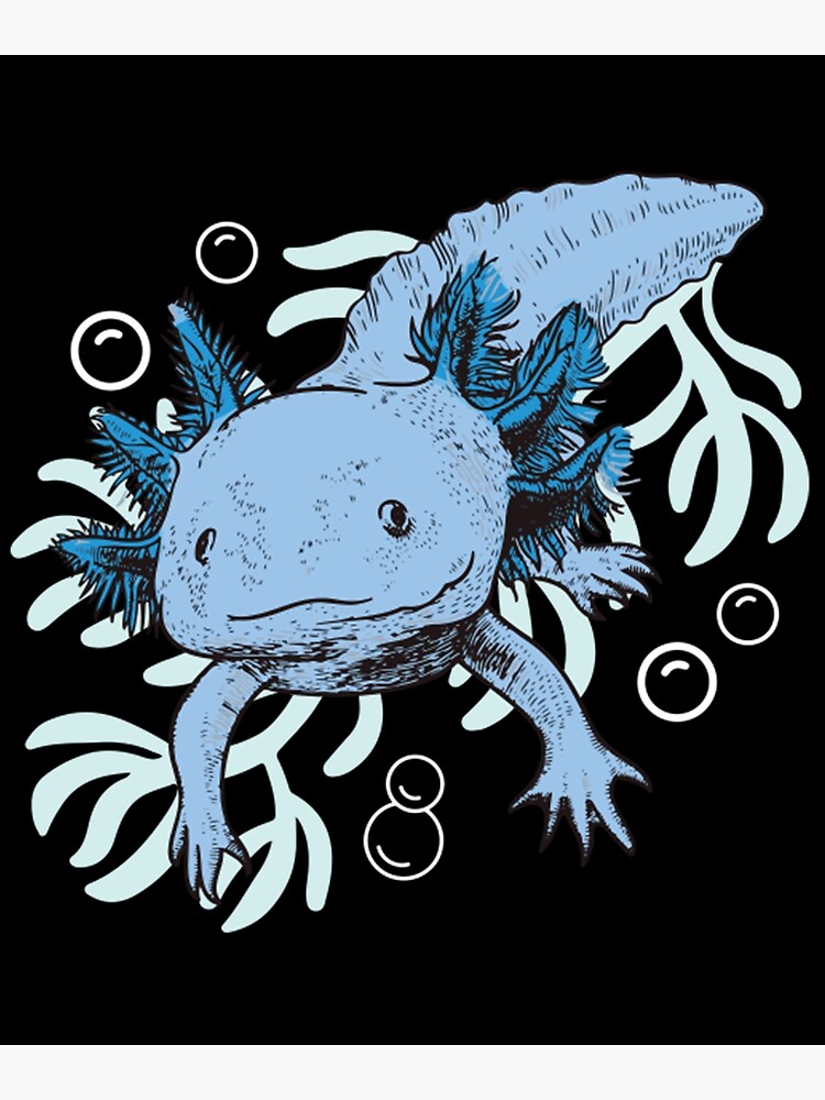 "Funny Blue Axolotl Coral Art" Poster for Sale by SamuelFranz | Redbubble