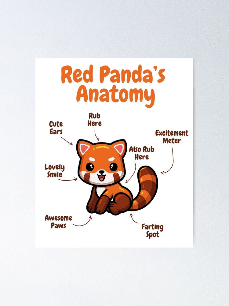"Red Panda Anatomy" Poster for Sale by GraphismNinja | Redbubble