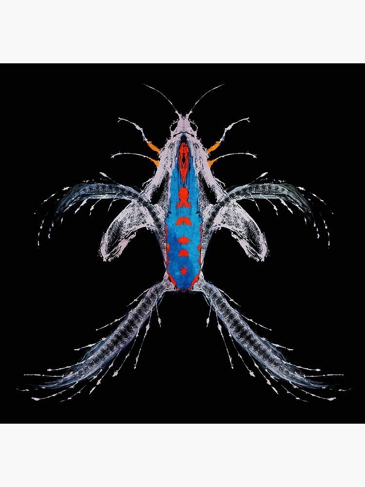 "Creatonotos gangis" Poster for Sale by MoonMothMother | Redbubble