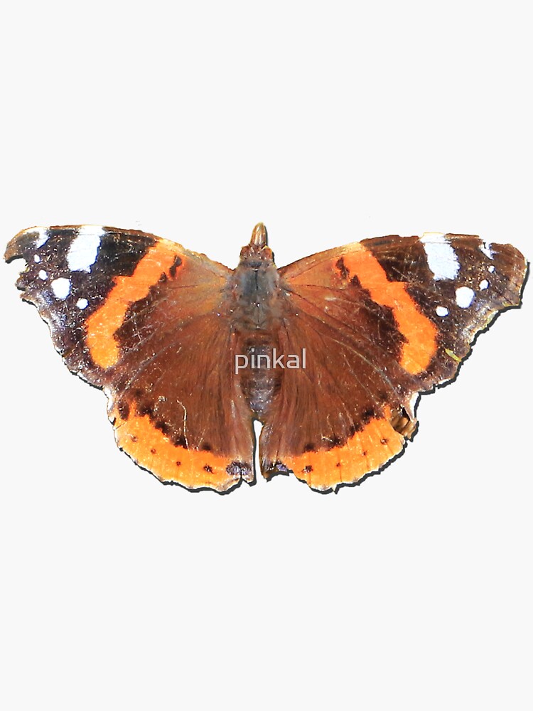 "Red Admiral Butterfly" Sticker for Sale by pinkal | Redbubble