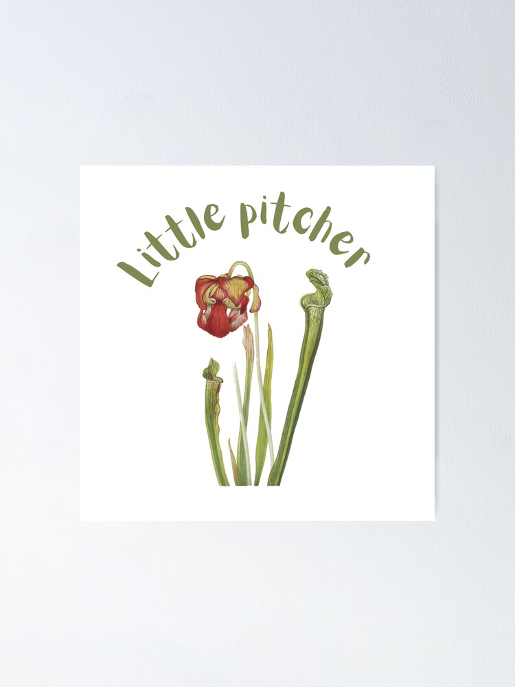 "Little Pitcher - Cute Pun - Pitcher Plant" Poster for Sale by ...