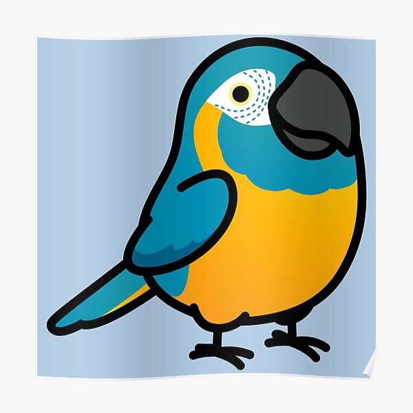 "Chubby Blue-throated Macaw" Poster for Sale by birdhism | Redbubble