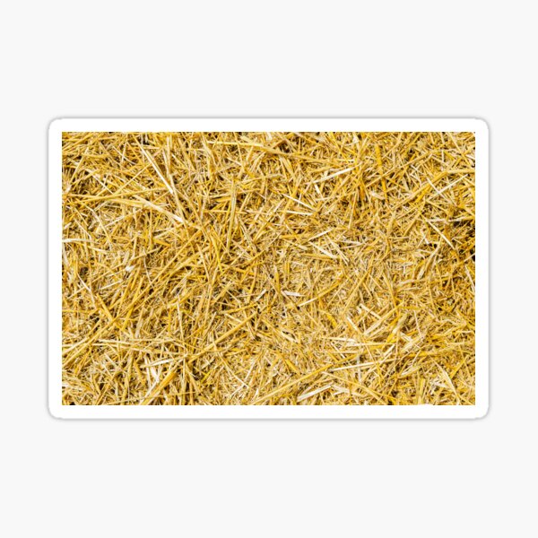 "Hay Straw Rustic Textured Background." Sticker for Sale by ...