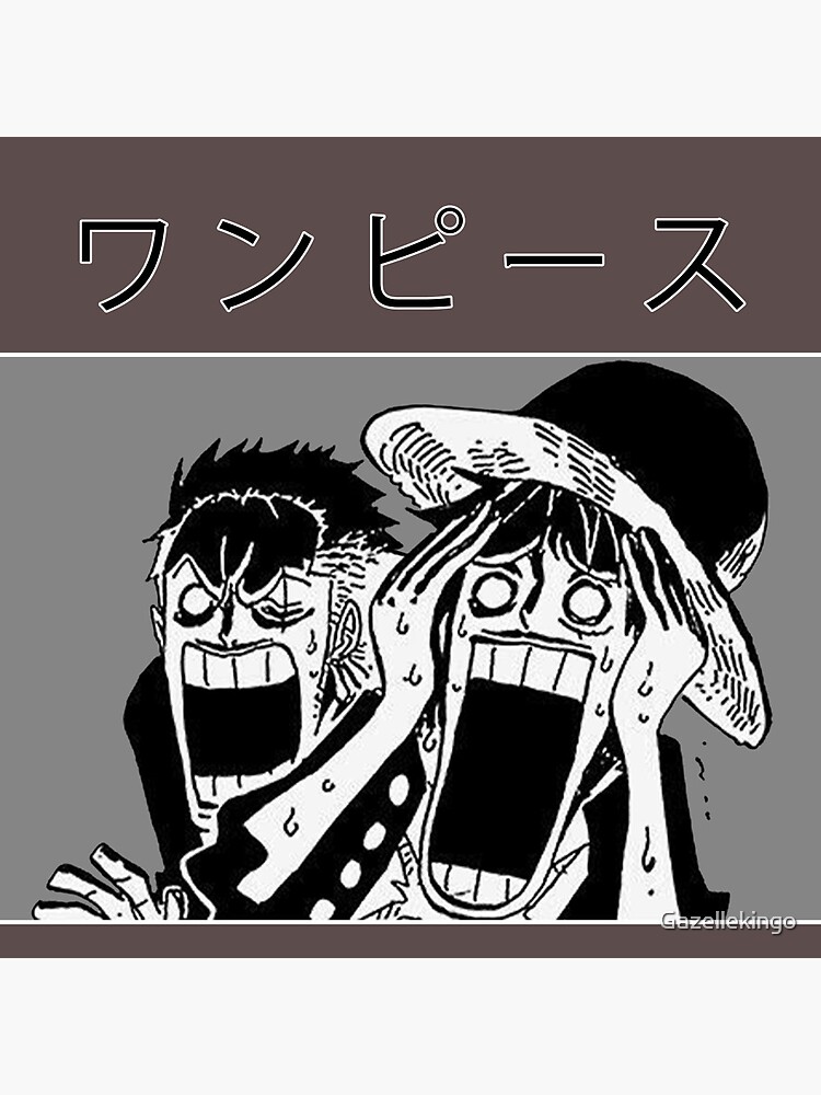 "funny sarcastic Luffy and Zoro shocked face cute drawing manga ...