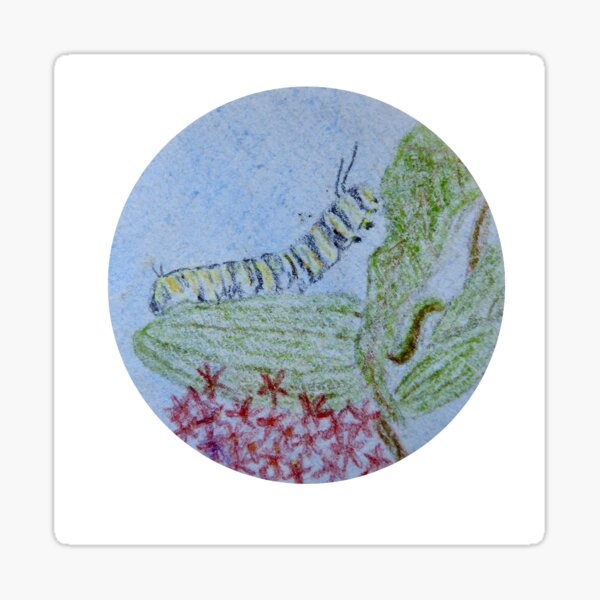 "Monarch caterpillar" Sticker for Sale by Kimmassari | Redbubble