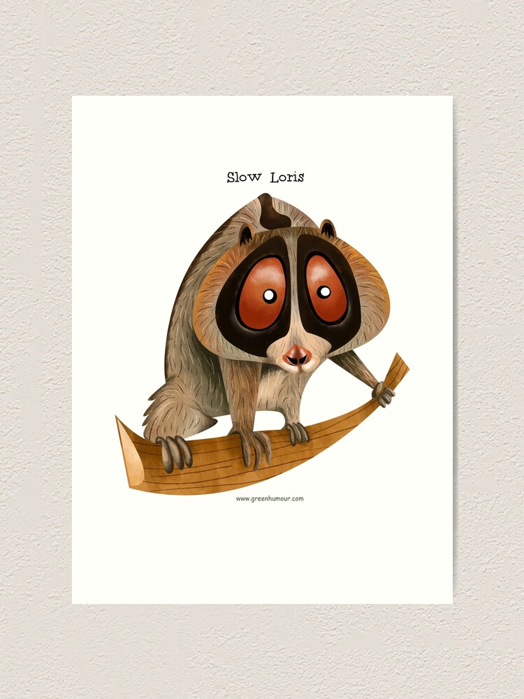 "Slow Loris" Art Print by rohanchak | Redbubble