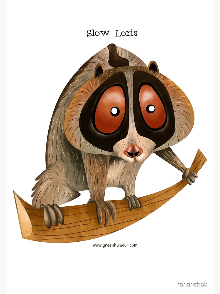 "Slow Loris" Art Print by rohanchak | Redbubble