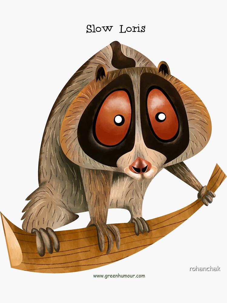 "Slow Loris" Sticker by rohanchak | Redbubble