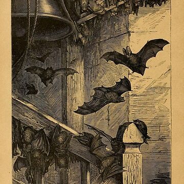 "Vintage London Bat Flyer " Art Board Print for Sale by BcBro5000 ...