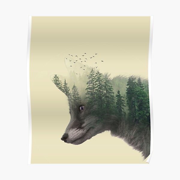 Póster «Wolf face from forest Gráfico» de AlulaLewis | Redbubble