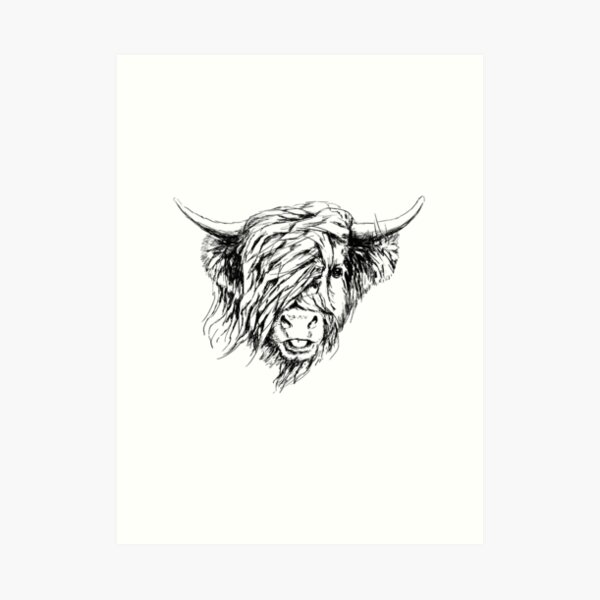 "Highland cow, Scottish Highland cow drawing" Art Print for Sale by ...