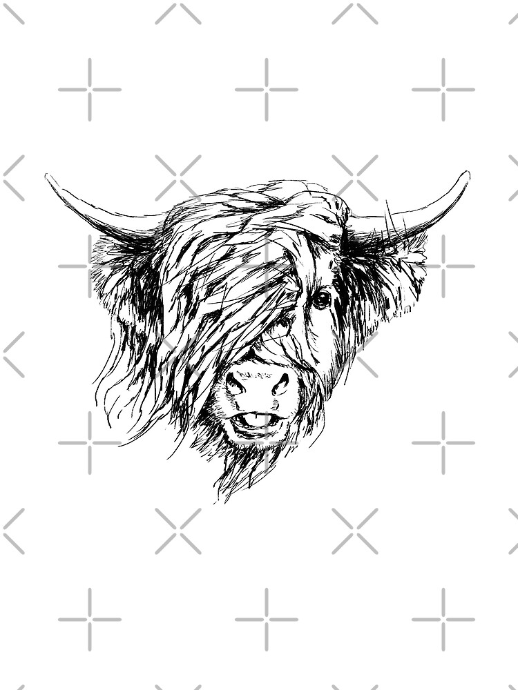 "Highland cow, Scottish Highland cow drawing" Art Print for Sale by ...