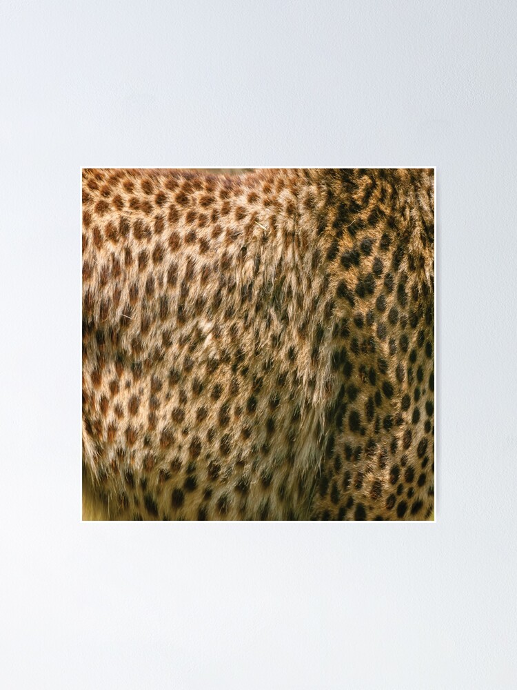 "Camouflage - Camo design NEW Dude. Perfect..." Poster for Sale by ...