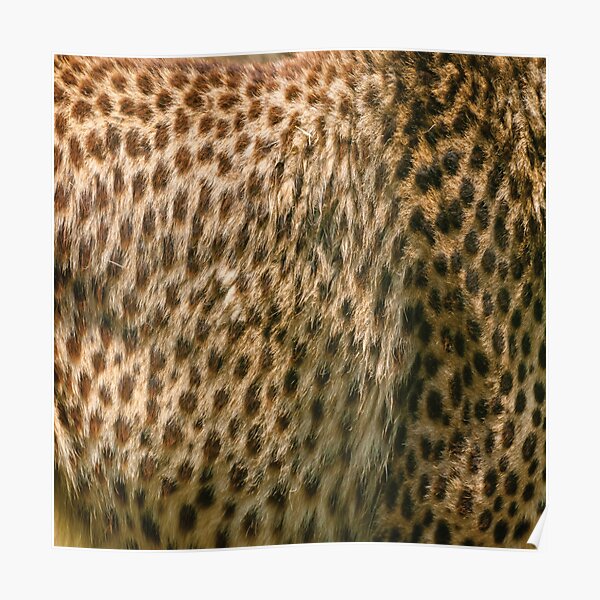 "Camouflage - Camo design NEW Dude. Perfect..." Poster for Sale by ...