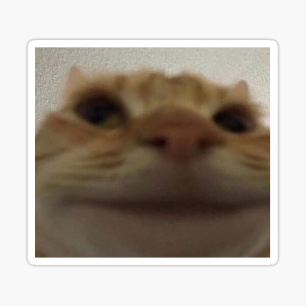 "Smiley Kitty" Sticker for Sale by moonbeambaby | Redbubble