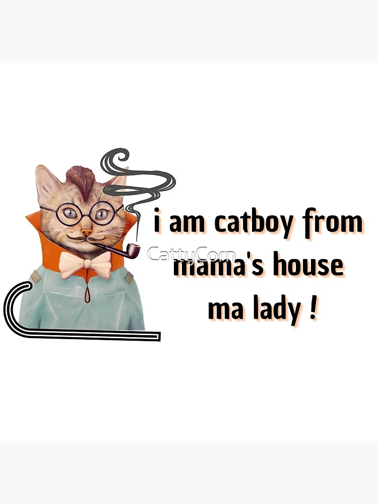 "I am catboy from mama's house ma lady cat lover " Poster for Sale by ...