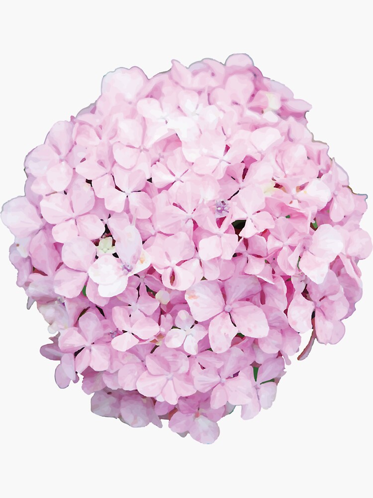 "Purple Hydrangeas Ball Gift" Sticker for Sale by Davy57000 | Redbubble