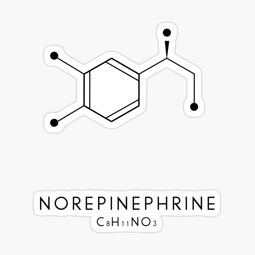 Norepinephrine Structure Tattoo