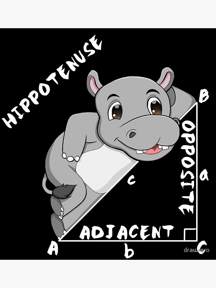 Poster « Hippotenuse - Théorème de Pythagore », par drawrero | Redbubble