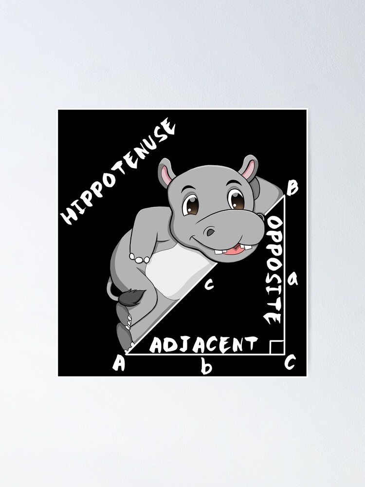 Poster « Hippotenuse - Théorème de Pythagore », par drawrero | Redbubble